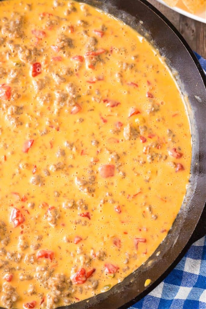 Rotel Dip - Mama Loves Food