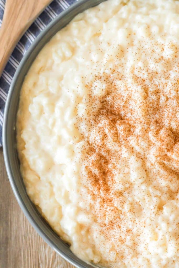 Instant Pot Rice Pudding - Mama Loves Food