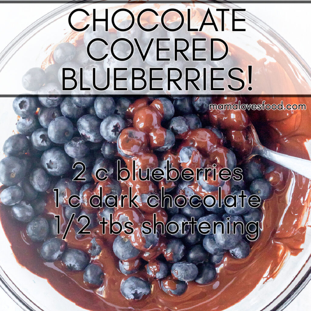 Chocolate Covered Blueberries - Mama Loves Food
